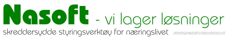 Nasoft - skreddersydde styringsverktøy